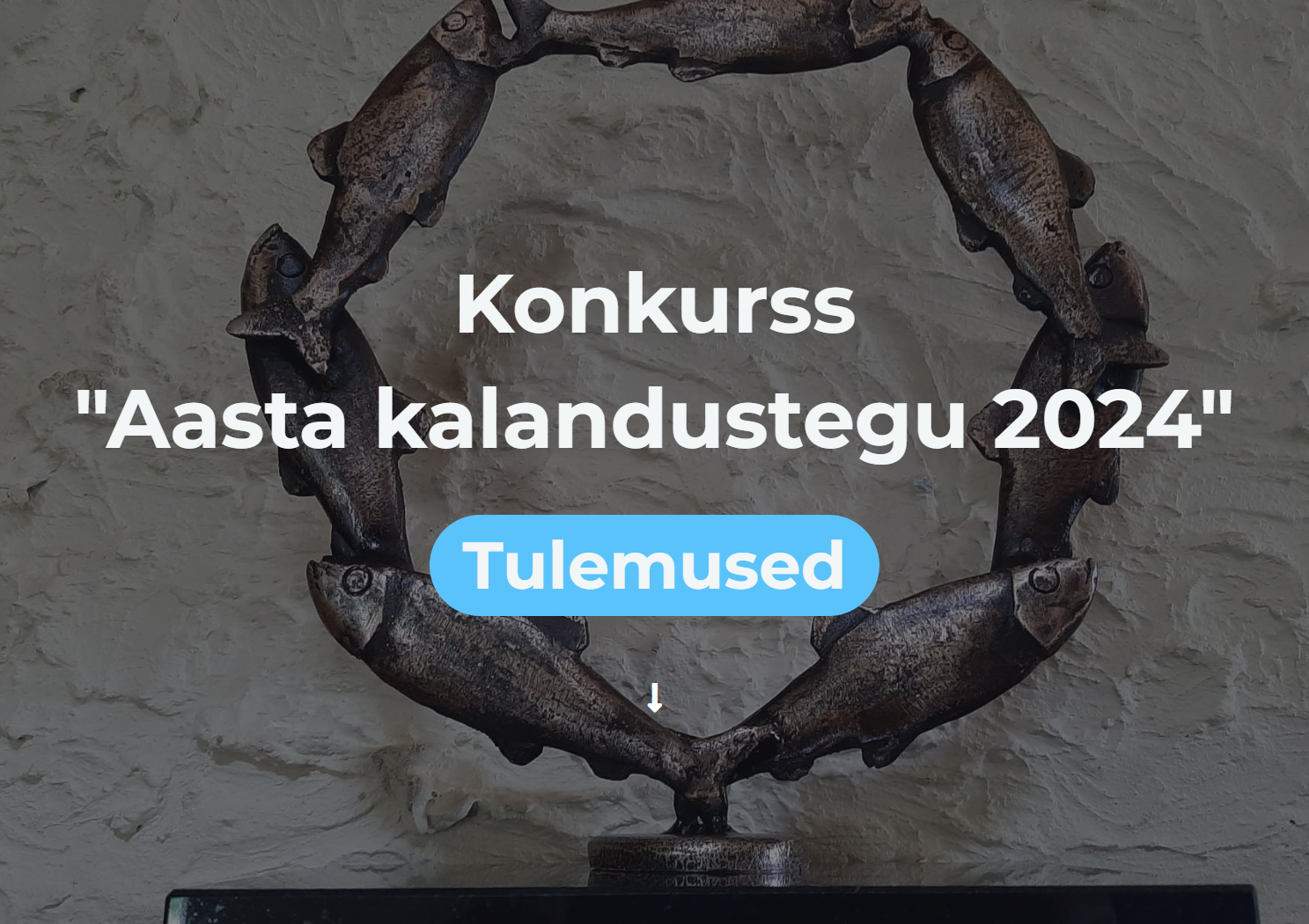 Tulemused - Konkurss "Aasta kalandustegu"